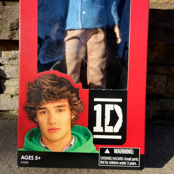 1D | Other | D Liam Payne Collector Doll | Poshmark